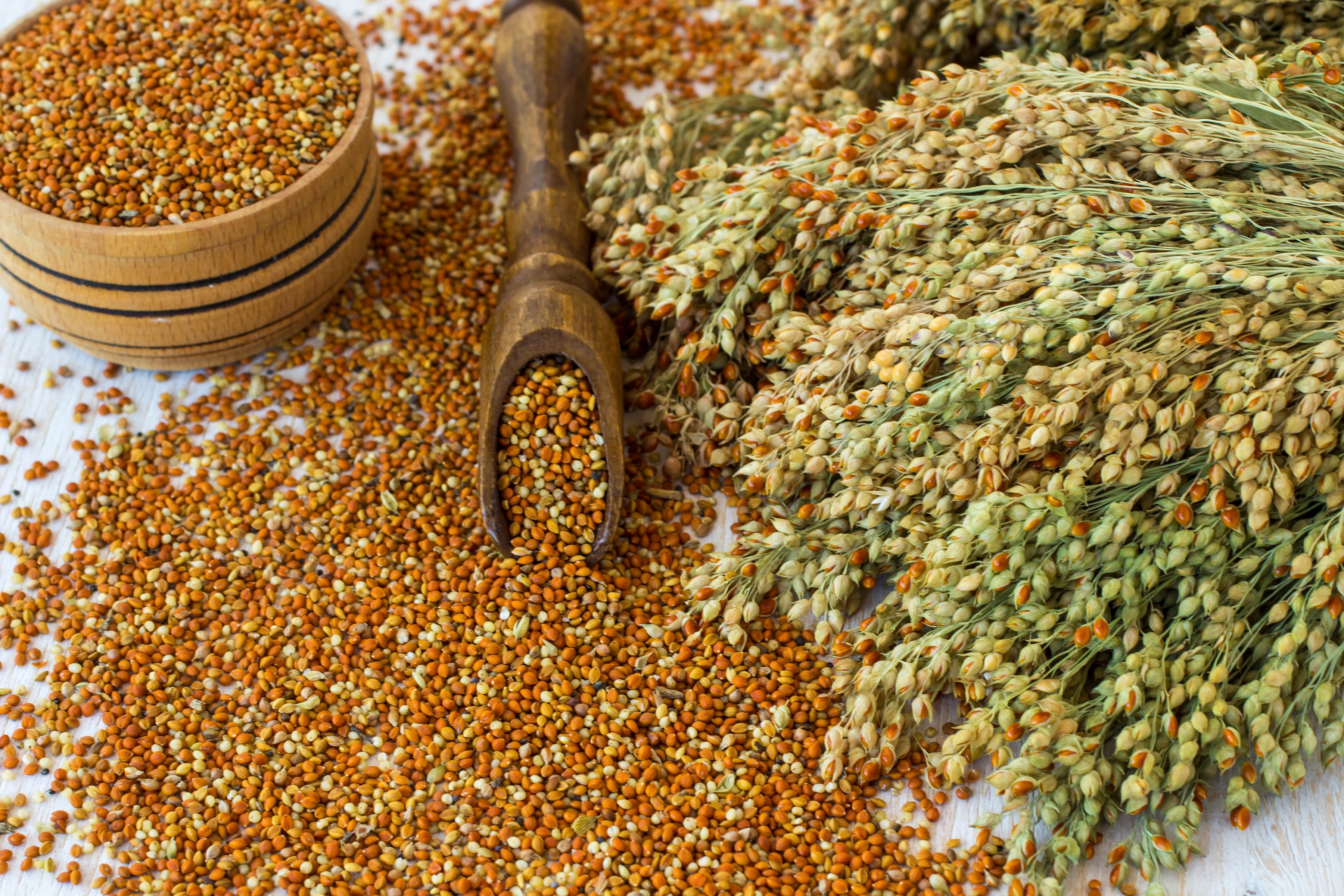 Understanding the Benefits of Millets — Spice Divine