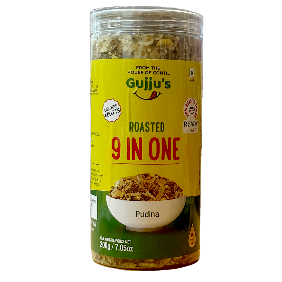 Gujju's Roasted 9 in One Mix (Mint Flavoured) 200gm — Spice Divine